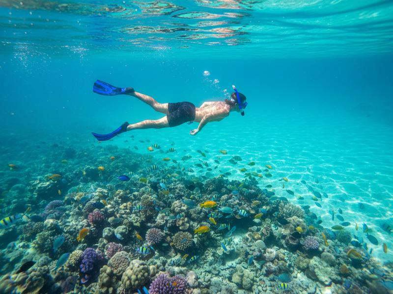 Cancun to Cozumel 2026: The Only Way to Get There (Ferry Guide + Tips)